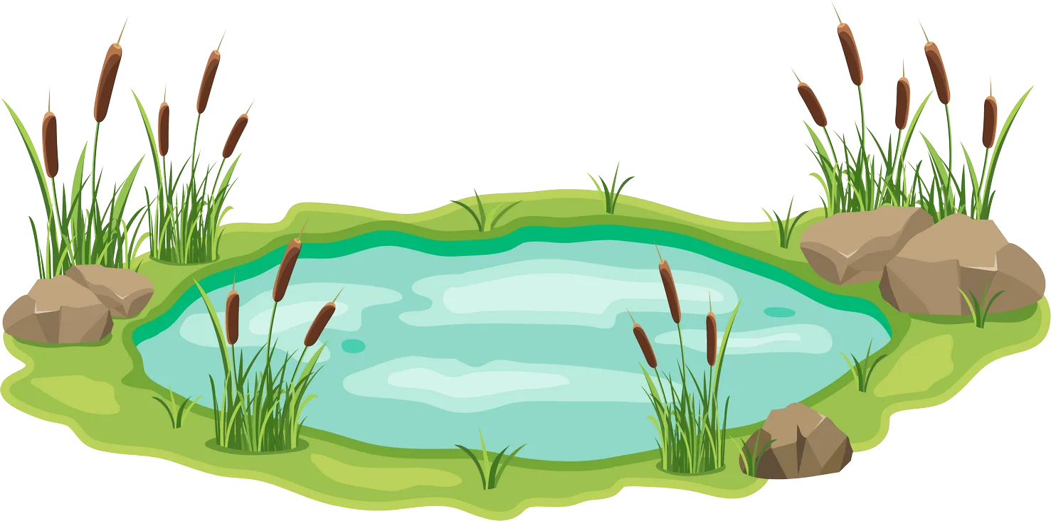 Types of Septic Systems in British Columbia - Affordable Septic👈️